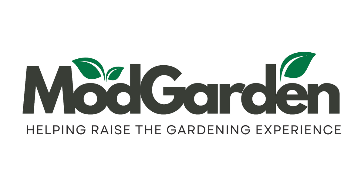 Why go with raised gardens? – ModGarden